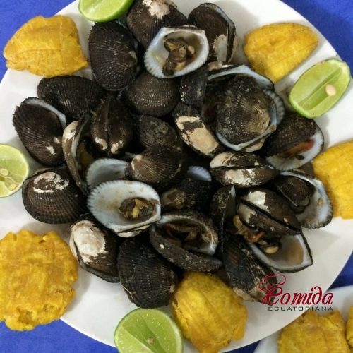 Conchas asadas - Recetas de Comida Ecuatoriana